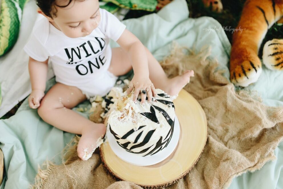 Wild One First Birthday Cake Smash - Baltimore Photographer - Sugarloaf ...