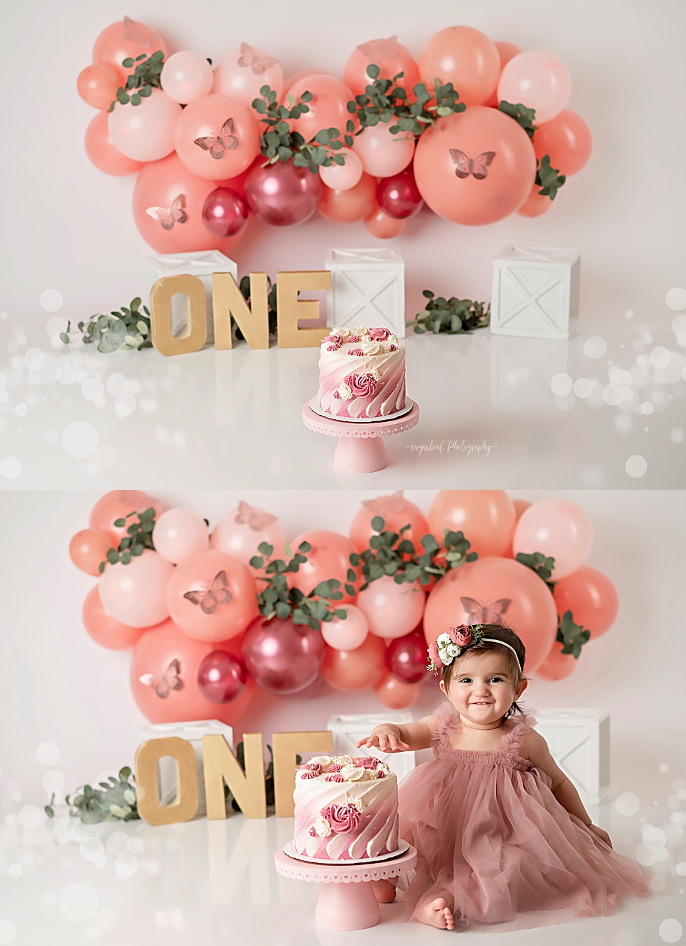Studio Cake Smash Session in Bel Air, MD » Sugarloaf Photography
